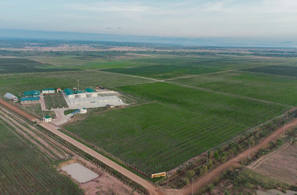 Phuong Nam Xanh Farm's Story